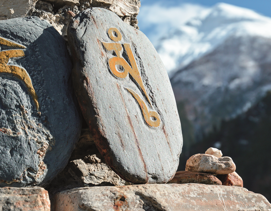 The Wisdom Codes: Ancient Words to Rewire Our Brains and Heal Our ...